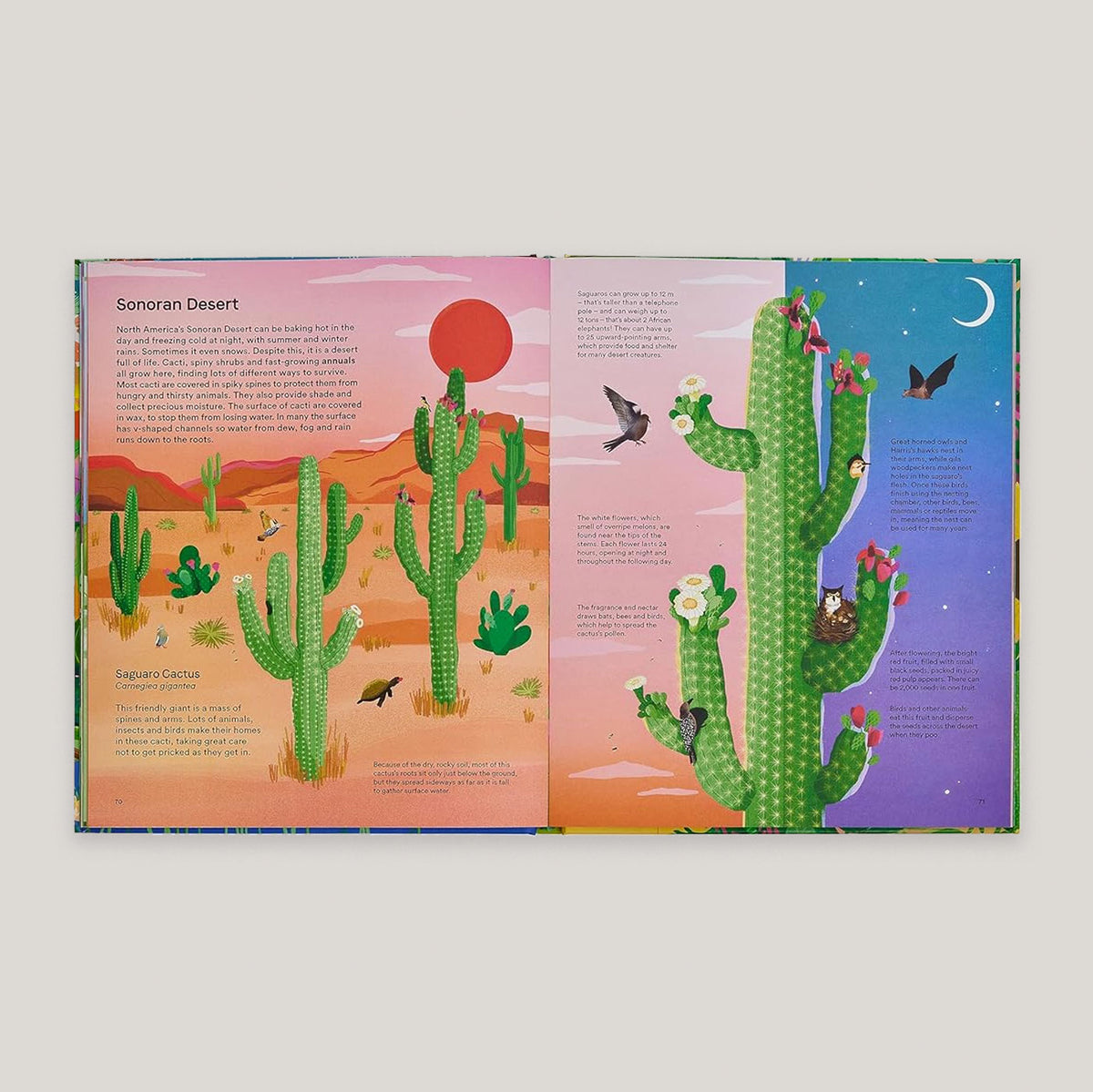 A Home for Every Plant: Wonders of the Botanical World | Matthew Biggs ...