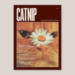 Magazines – Colours May Vary