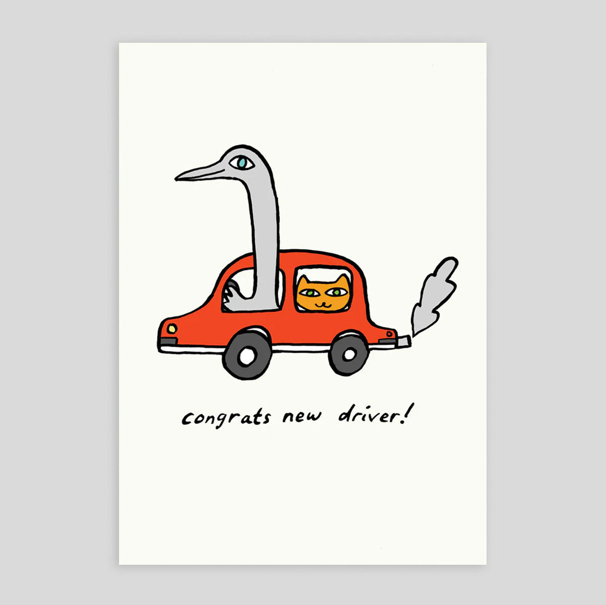 Molly Fairhurst For Wrap | Congrats New Driver Card – Colours May Vary