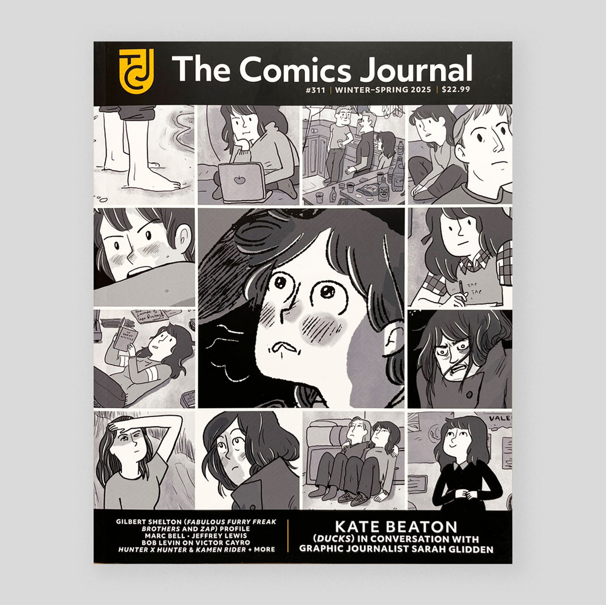 The Comics Journal #311 | Kate Beaton – Colours May Vary