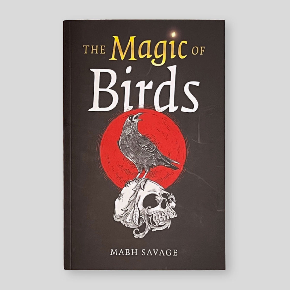 The Magic of Birds | Mabh Savage – Colours May Vary