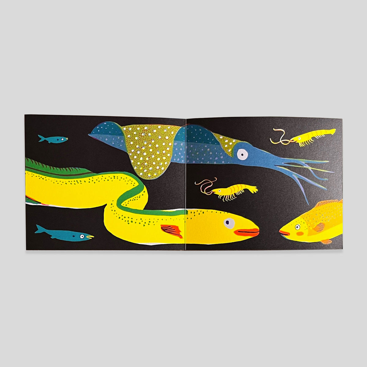 Amazing Fish | Ruby Wright – Colours May Vary