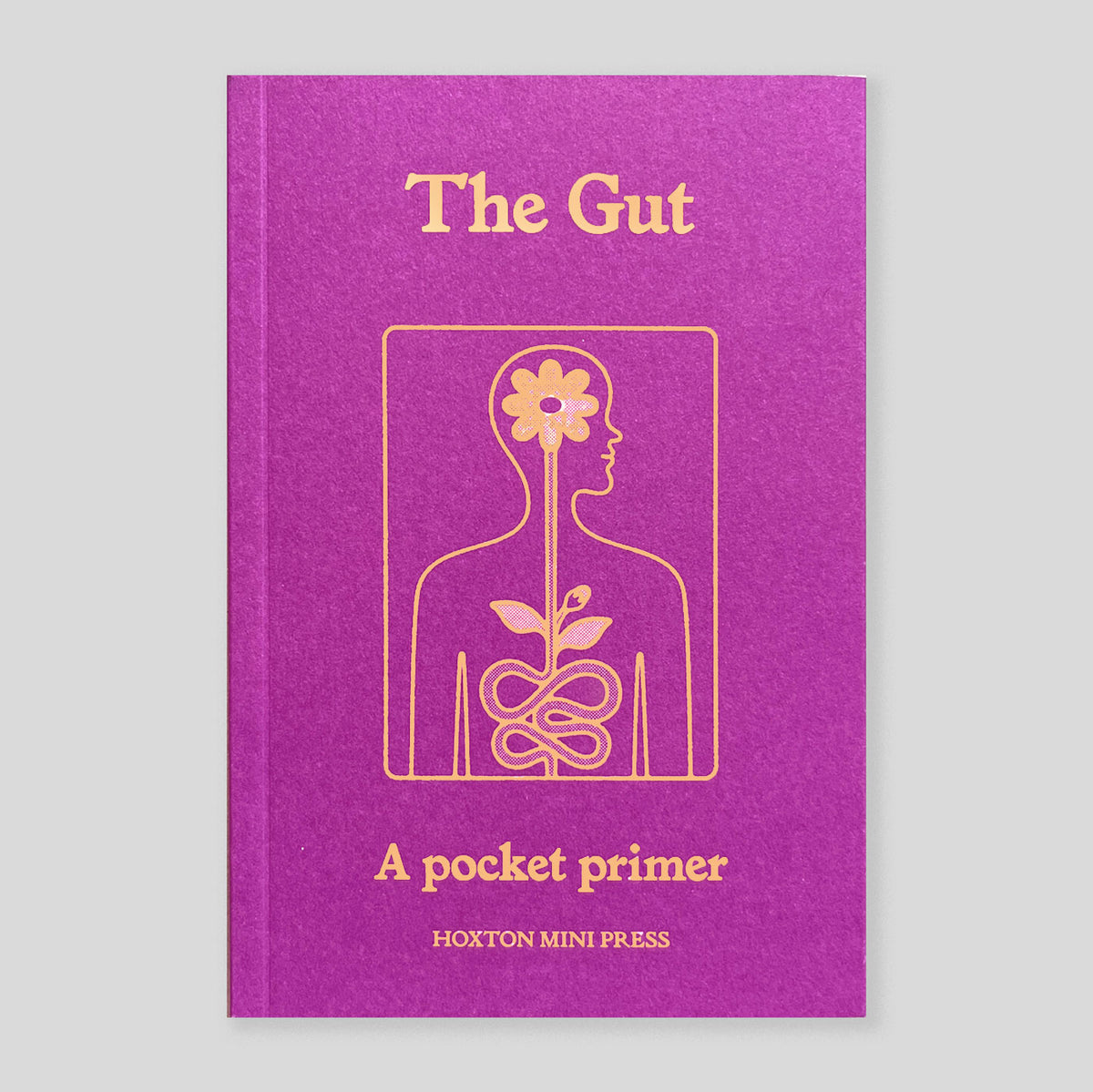 The Gut: A Pocket Primer | Hoxton Mini Press – Colours May Vary